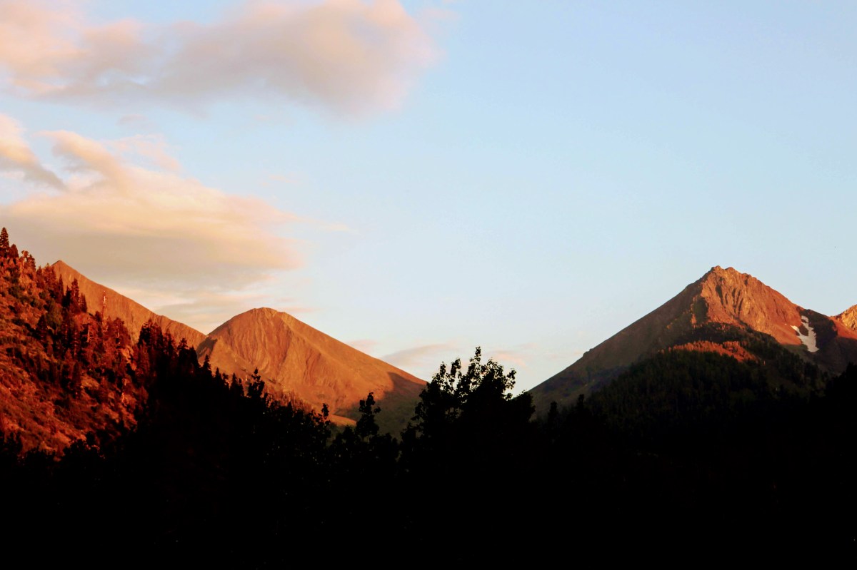 Neil O'Brian – 2024 Carnegie Fellow, Assistant Professor in Political ...